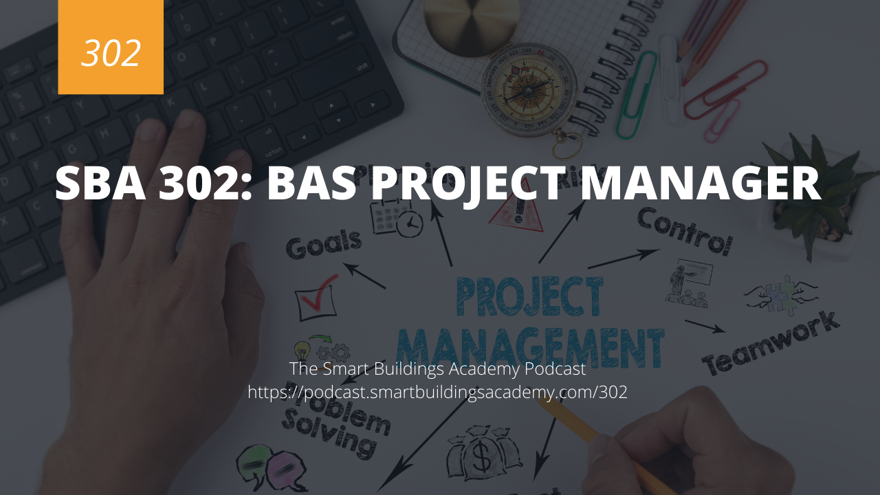SBA 302: BAS Project Manager